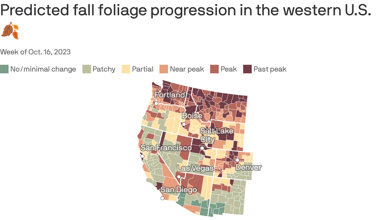 The best time to see changing leaves in Arizona this fall - Axios Phoenix