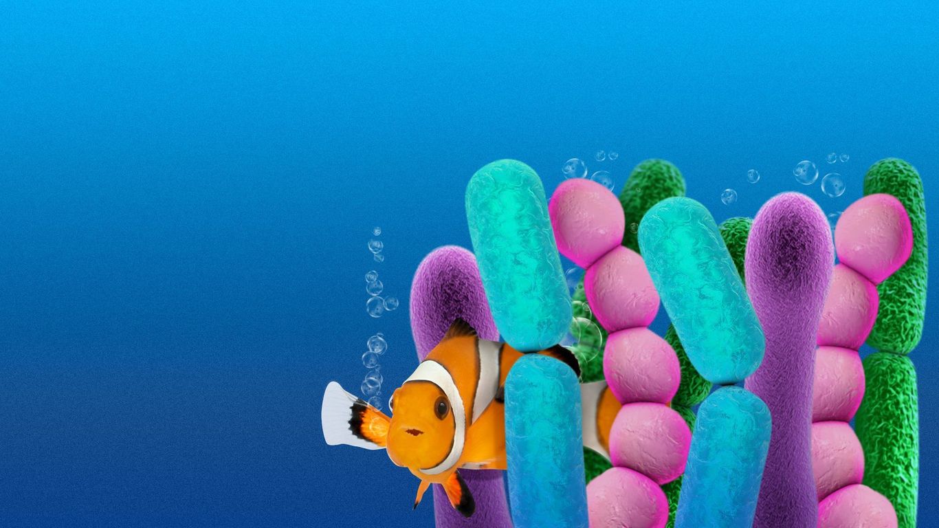 The diversity of bacteria on Earth may be vastly underestimated