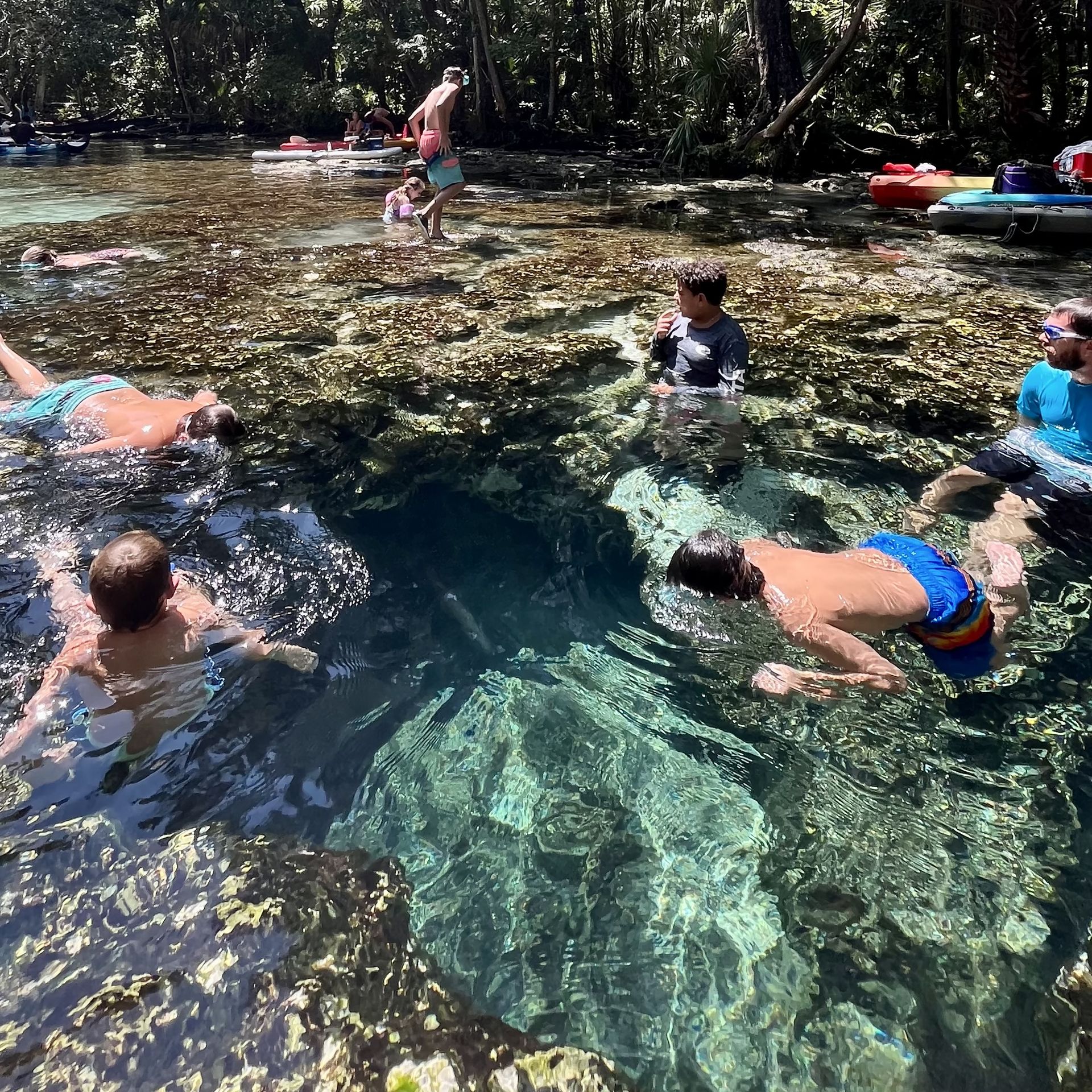 Chassahowitzka river campground store