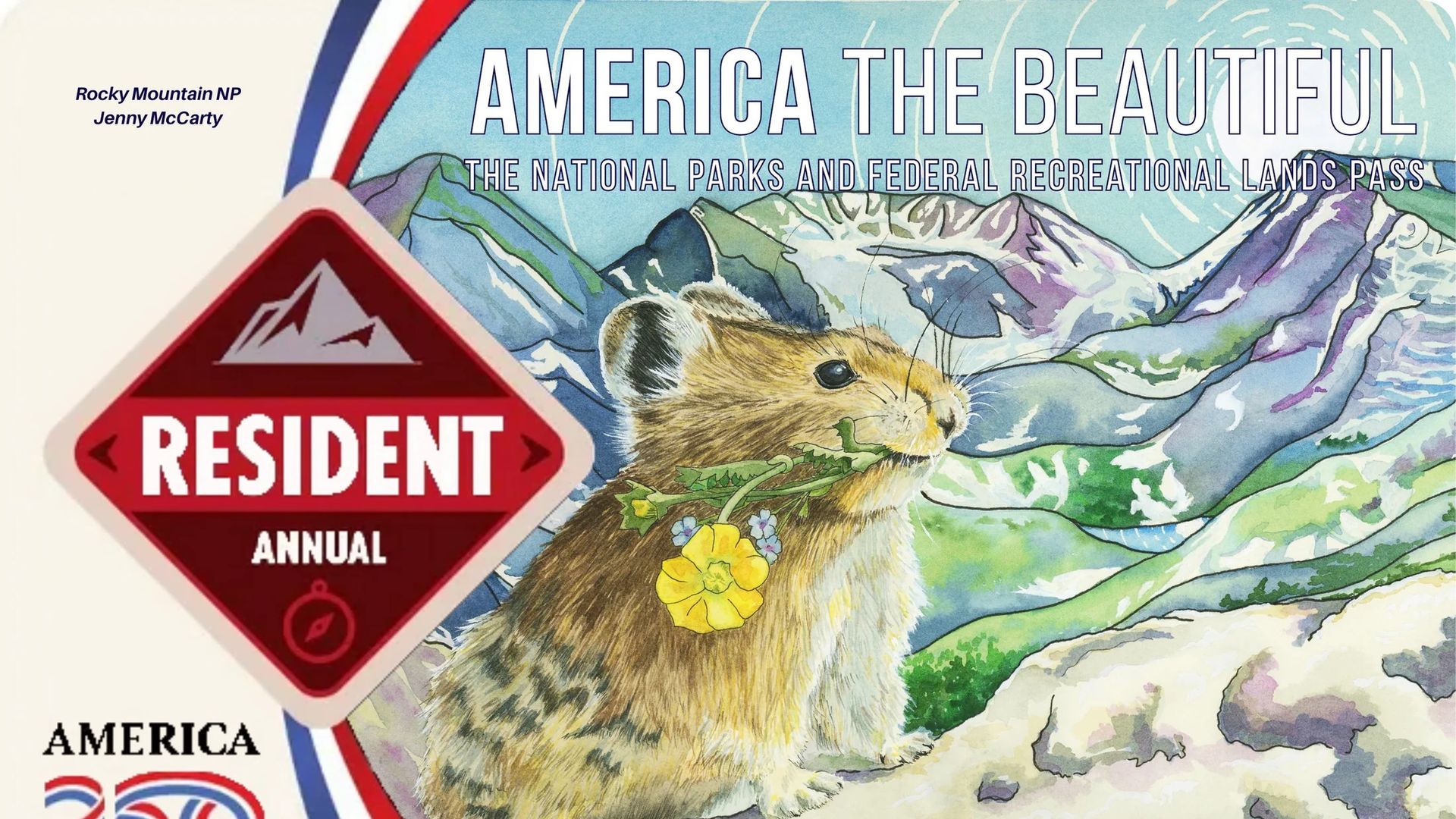 Stickers by Boulder artist aim to cover Trump photo on national parks ...