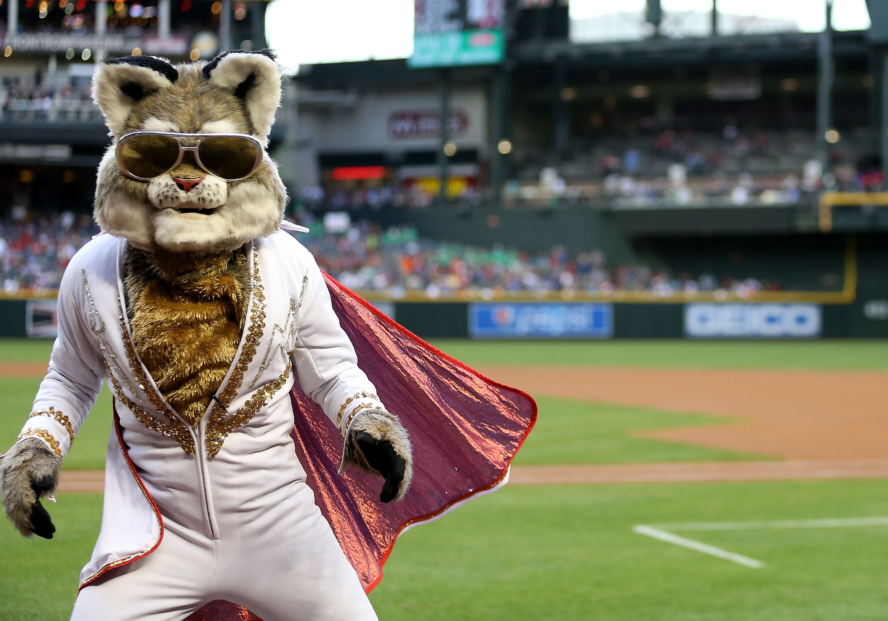Arizona D-Backs' Baxter crowned MLB's sexiest mascot - Axios Phoenix