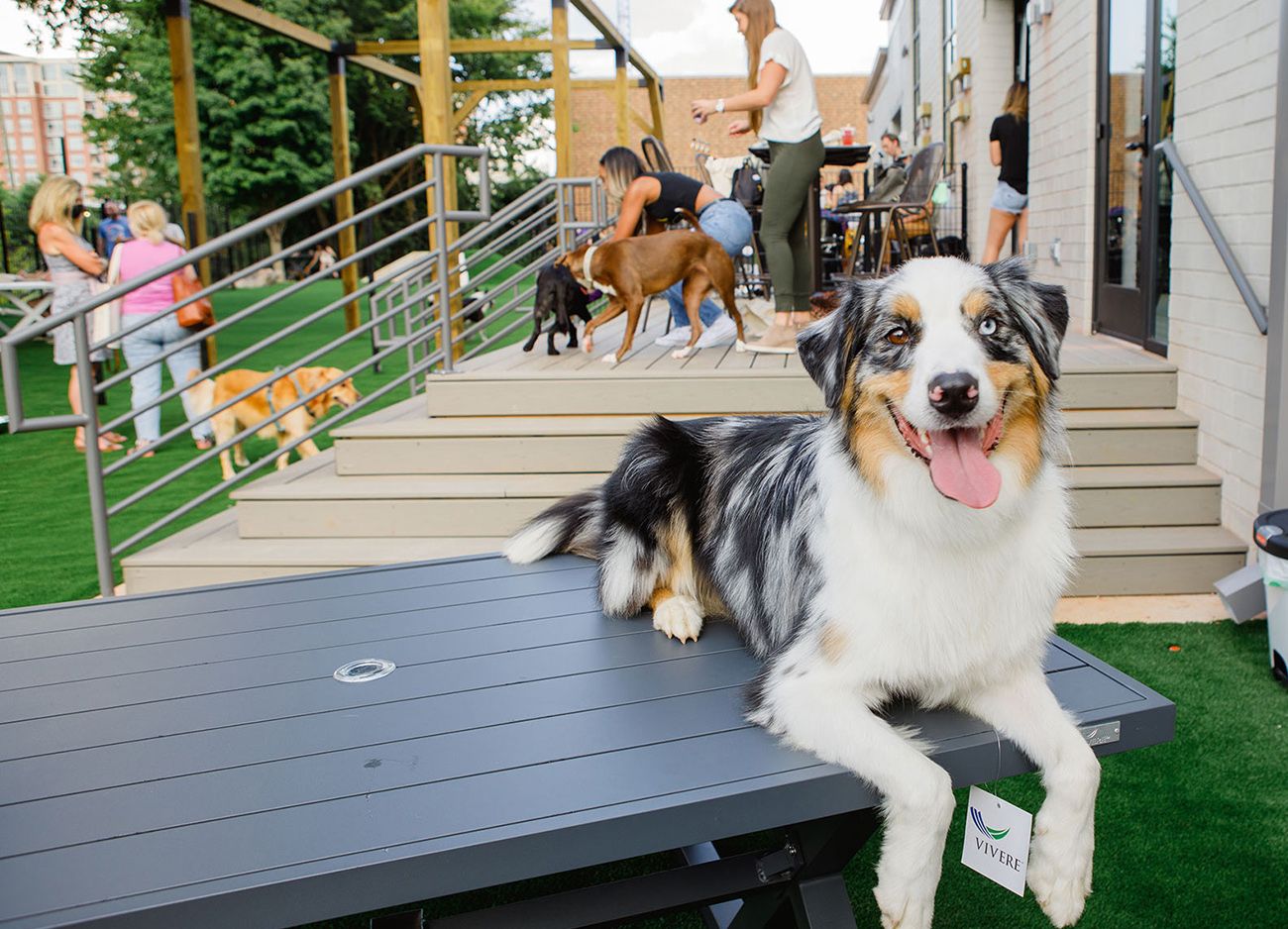 30+ of the best ways to make friends in Charlotte - Axios Charlotte