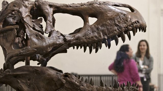 Bringing back the dinosaurs