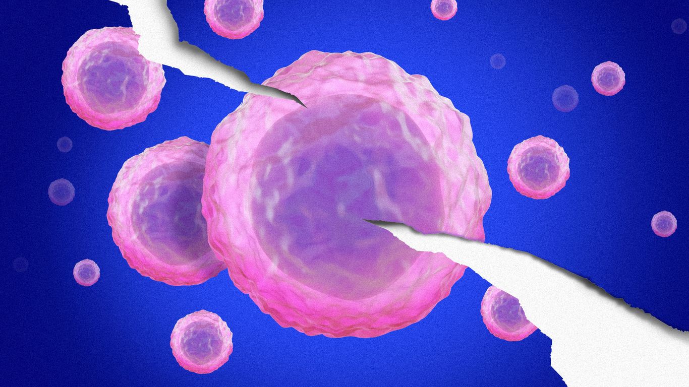 Measles can give your immune system amnesia