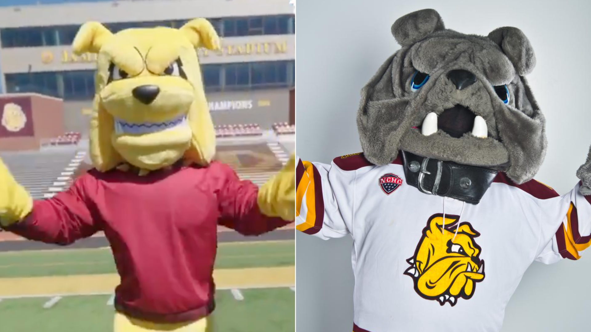 Mascot Bulldogs