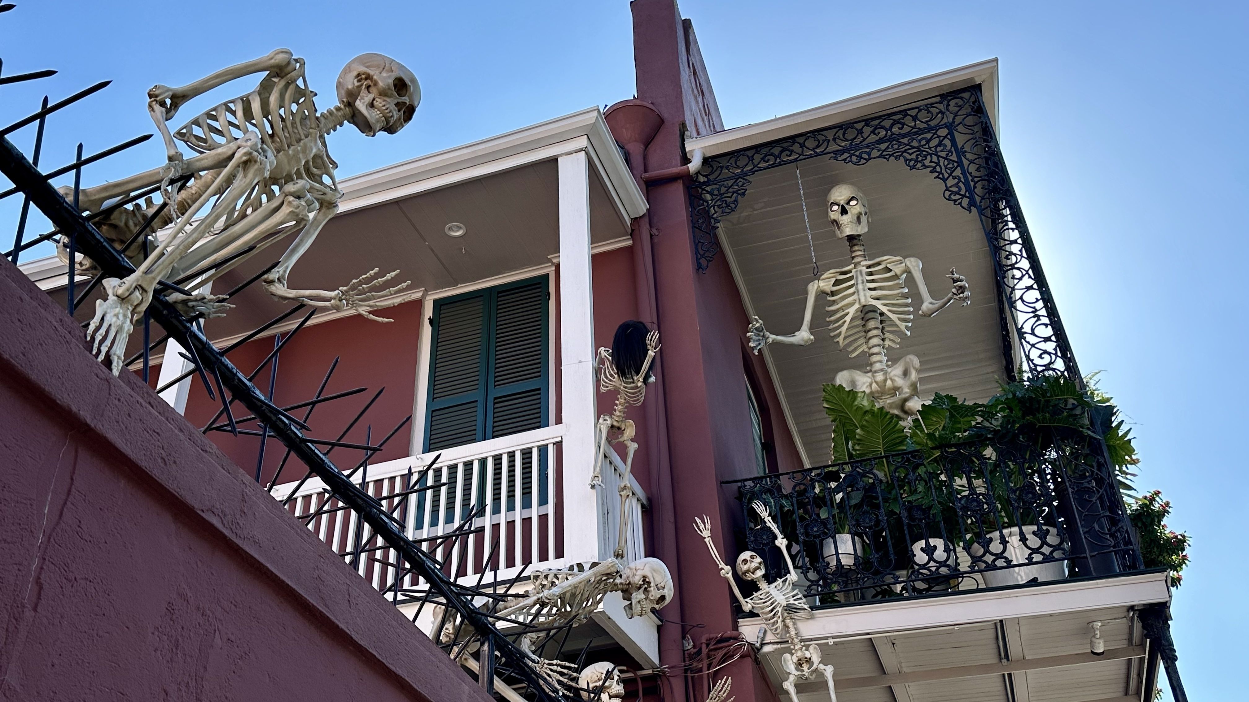 In photos: Halloween in New Orleans - Axios New Orleans