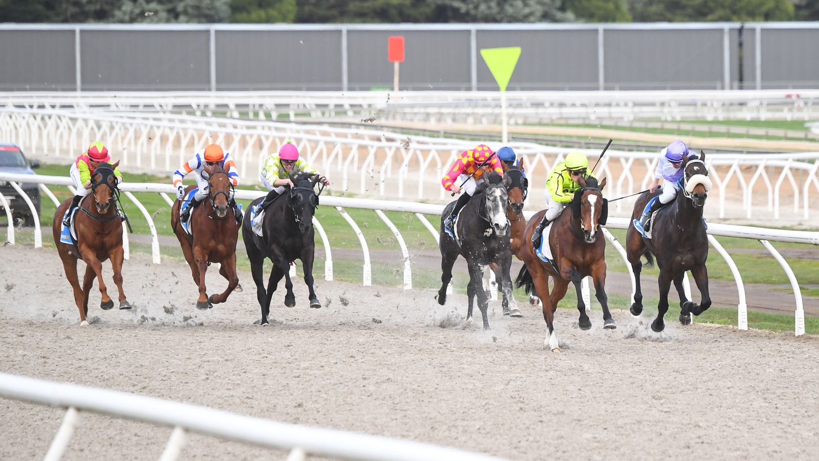 Arizona Downs and Rillito Park plan to continue horse racing - Axios ...