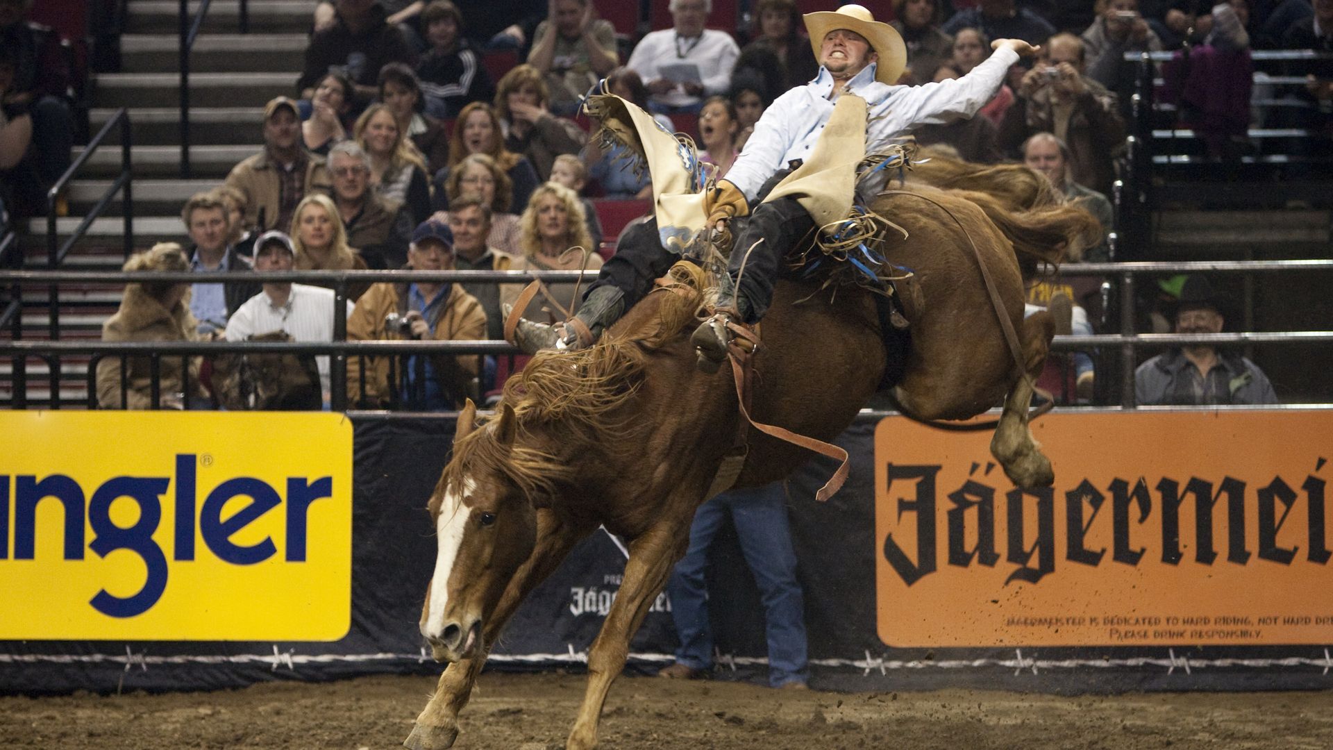 Columbus weekend events: World's Toughest Rodeo and a Valentine's Day ...