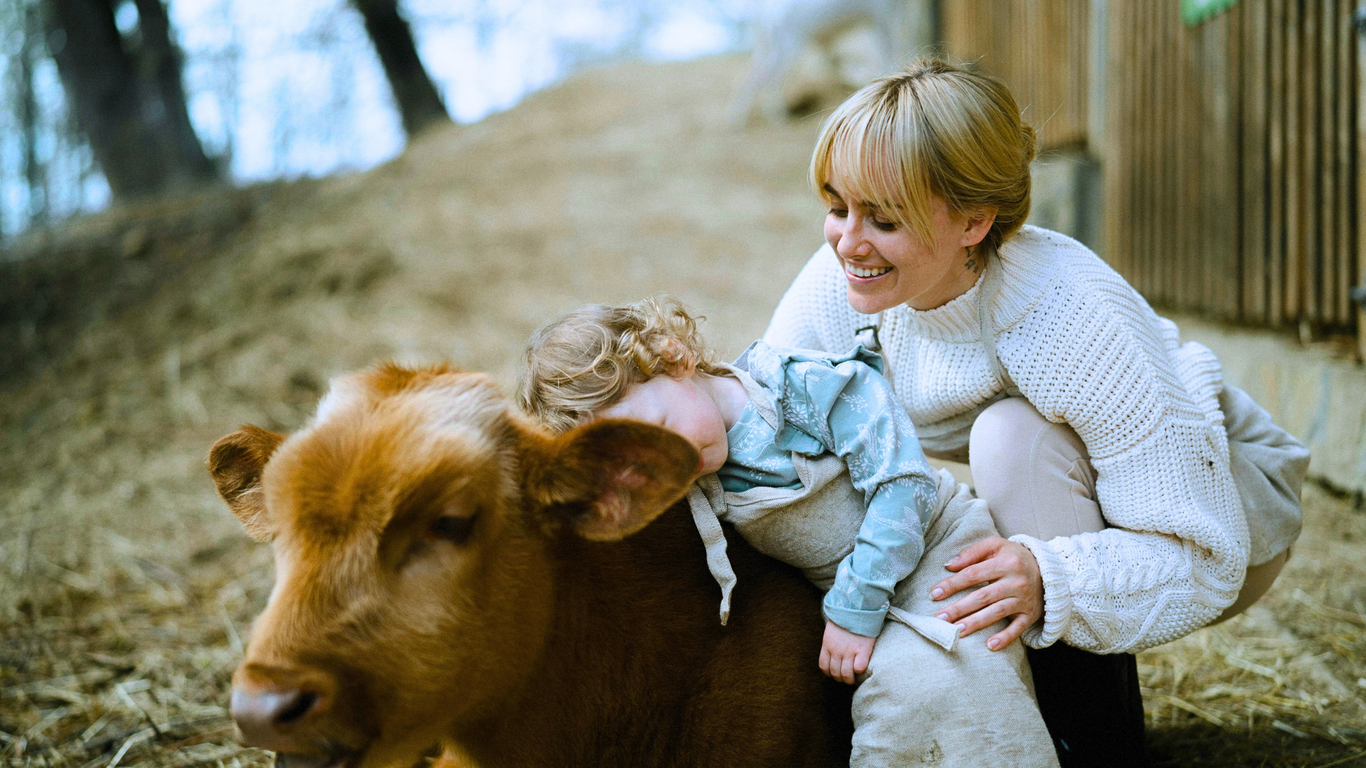 This Colorado company is hiring an intern to cuddle with cows - Axios ...