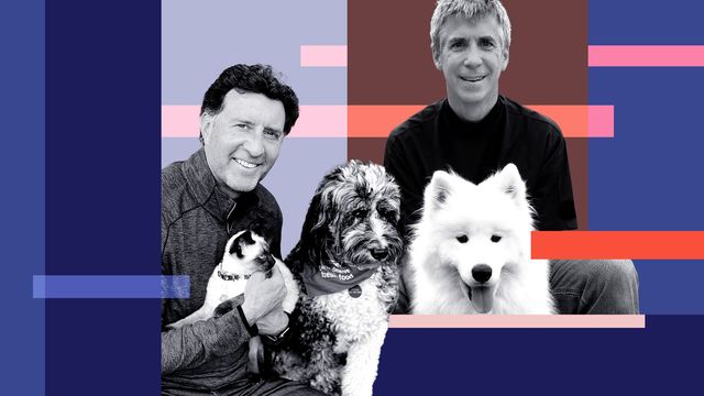 Retail: Pet food M&A