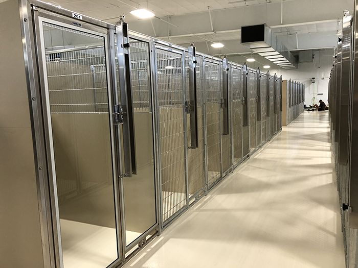 16,000-square-foot pet boarding facility with an outdoor swimming pool ...