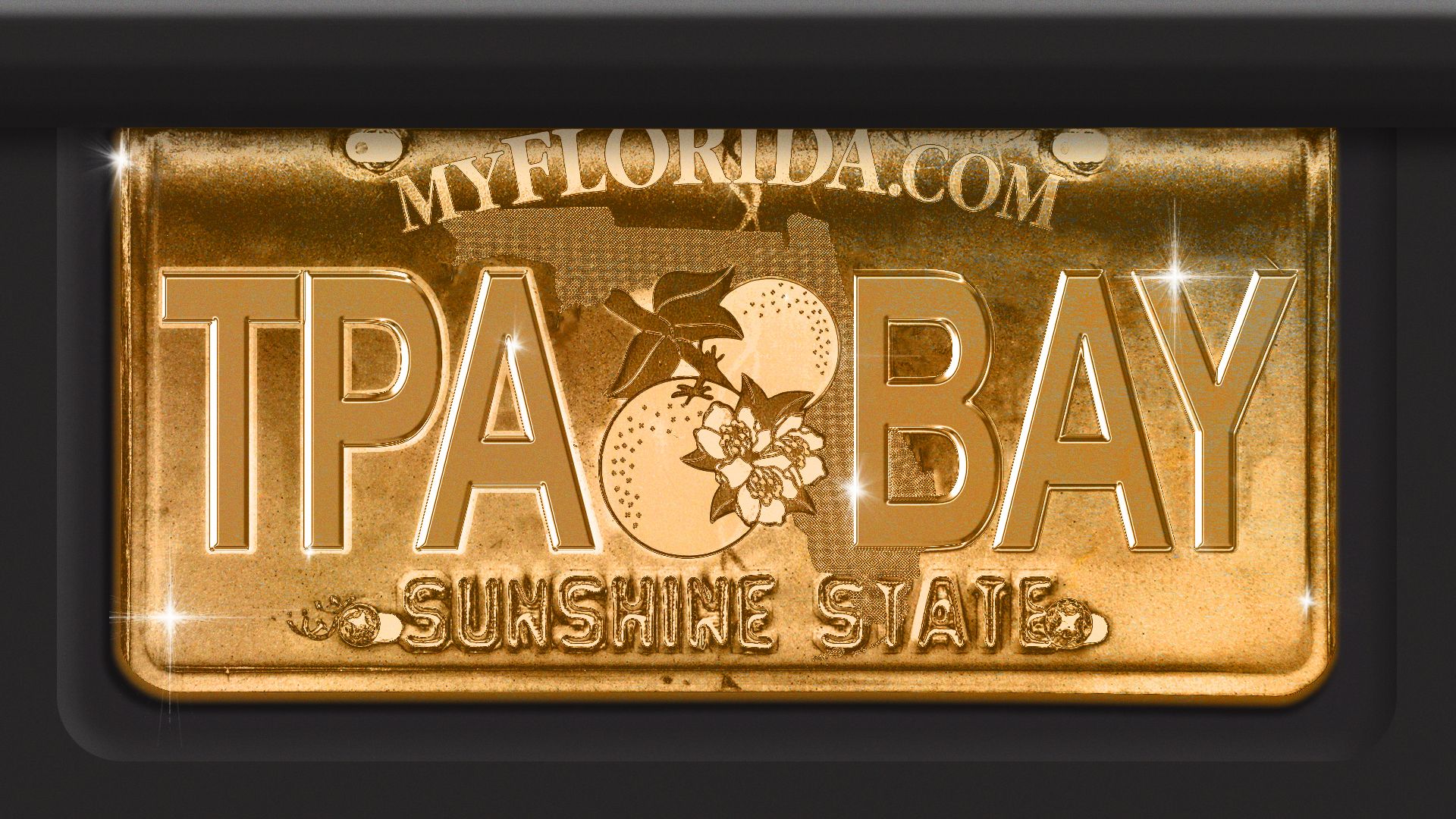 Florida's most popular specialty license plates - Axios Tampa Bay