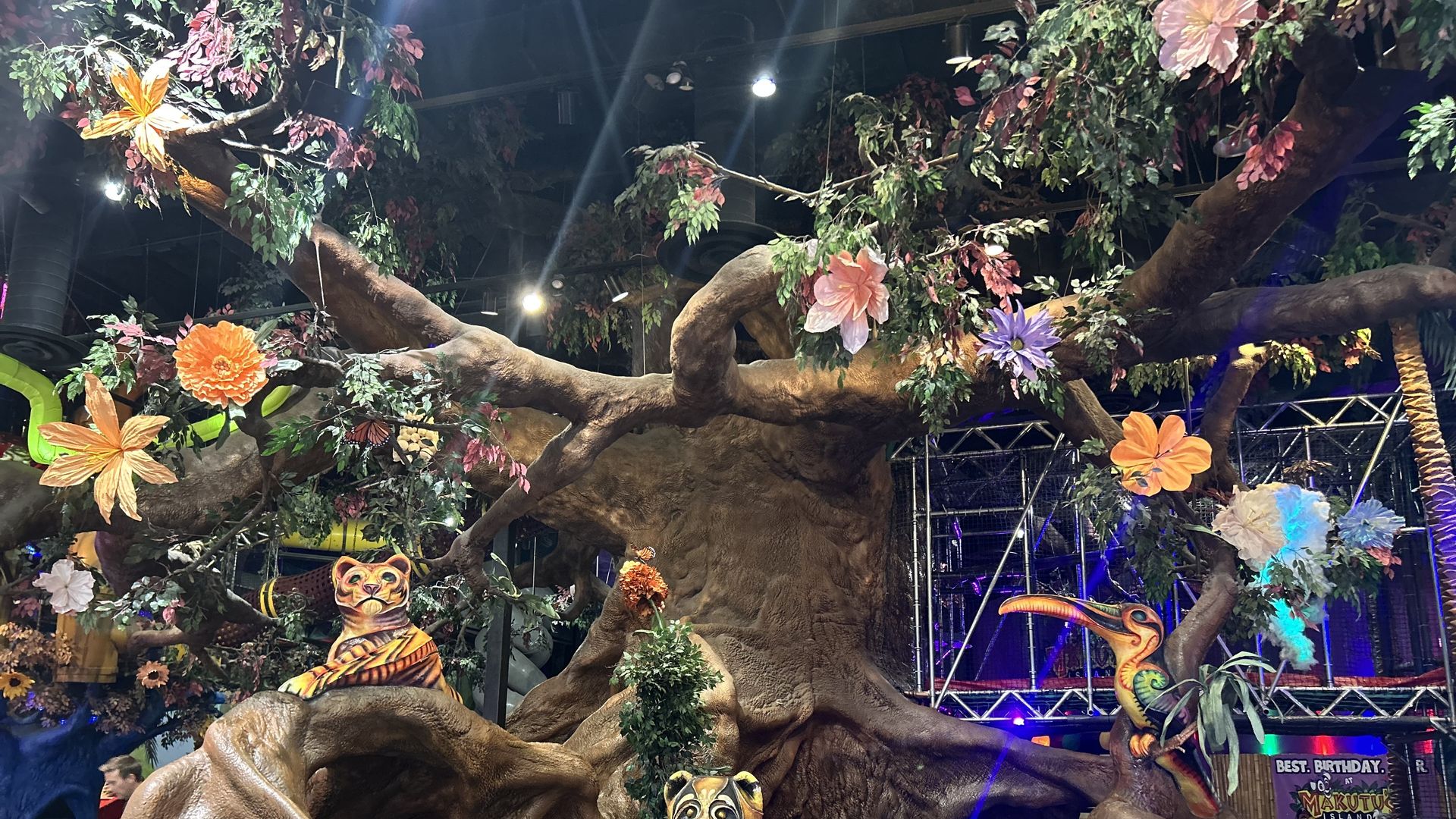 Makutu's Island offers families a reprieve from the Phoenix heat ...