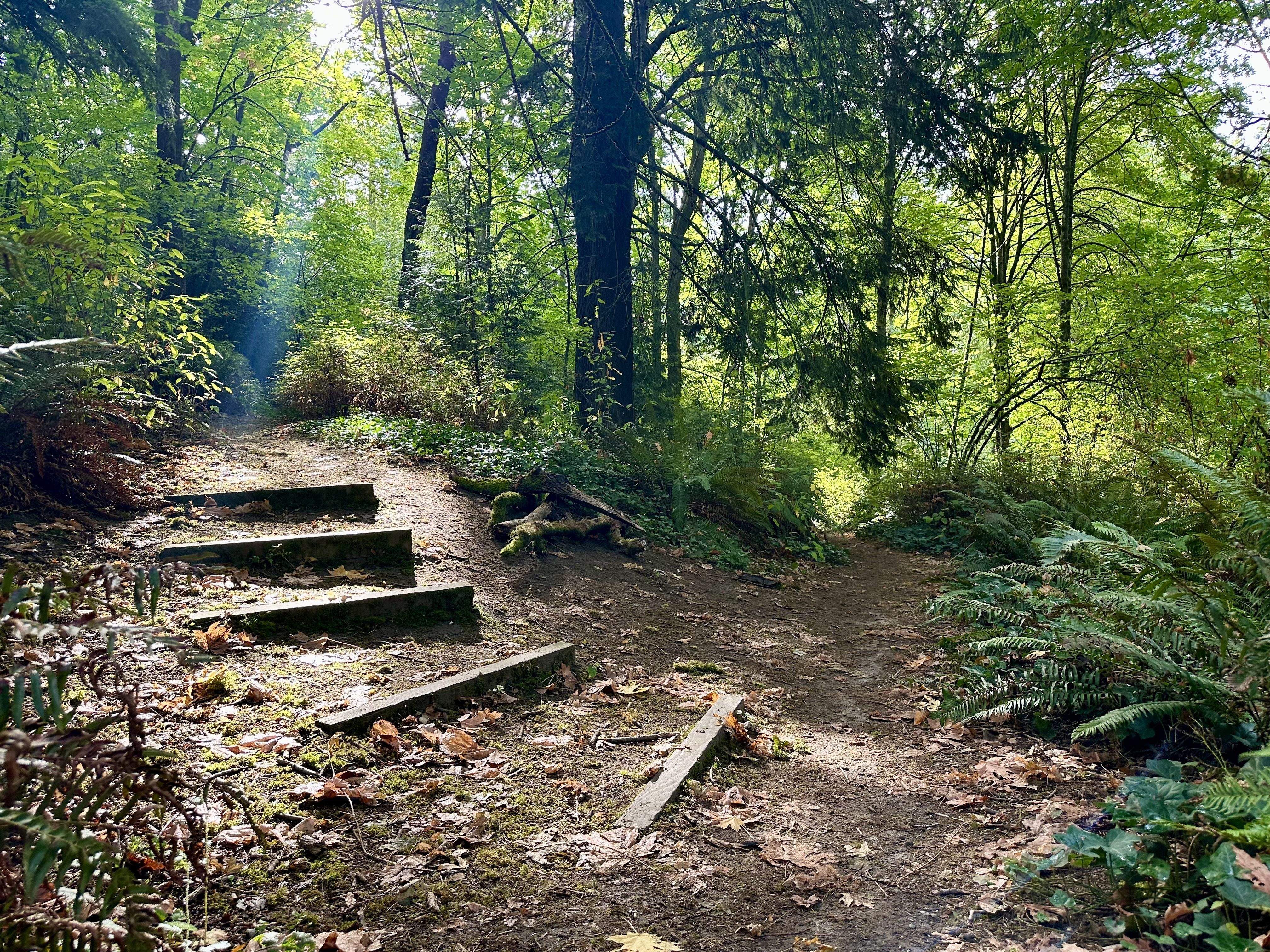 Seattle's summer isn't over: How to enjoy the final stretch - Axios Seattle