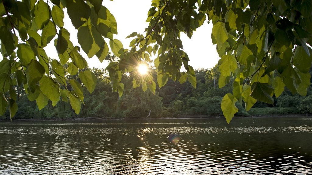 Anacostia River to open for first legal swim in more than 50 years ...