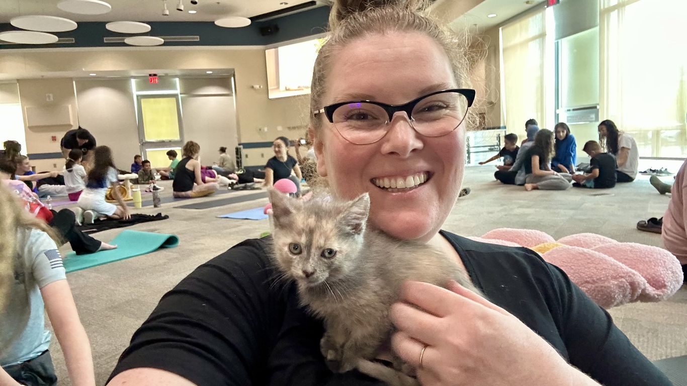 Free kitten yoga classes return to Jefferson Parish Library - Axios New Orleans