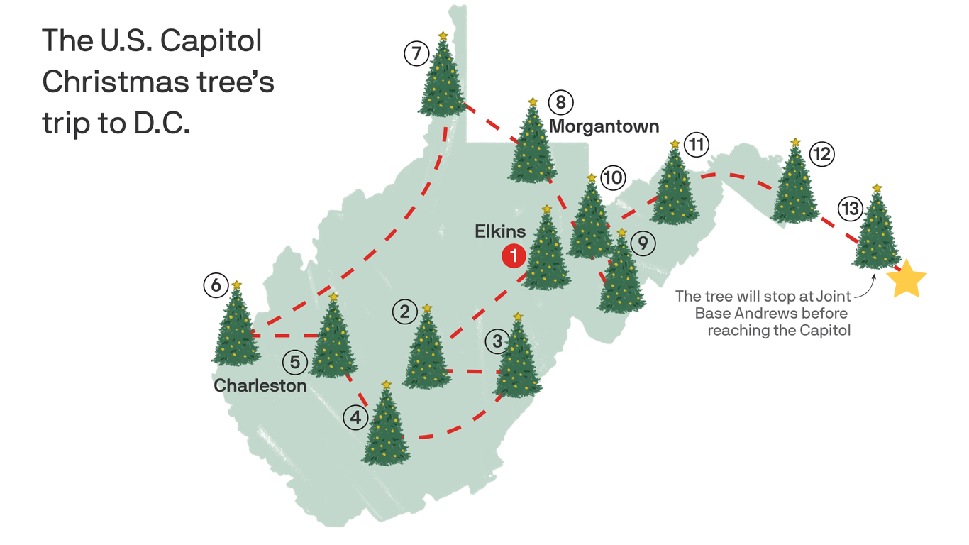 How the Capitol Christmas Tree is chosen and travels to D.C.
