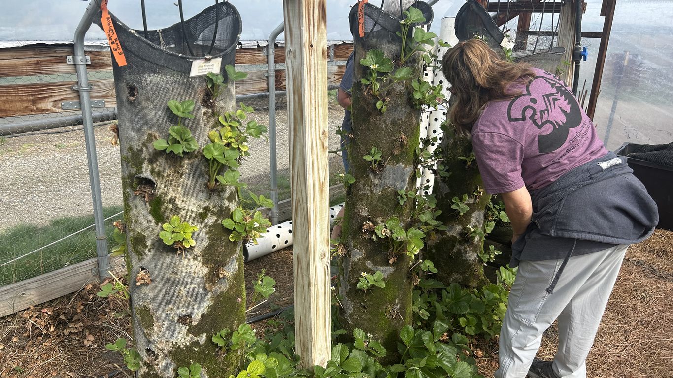 Douglas County lab tests what can grow in Colorado - Axios Douglas County