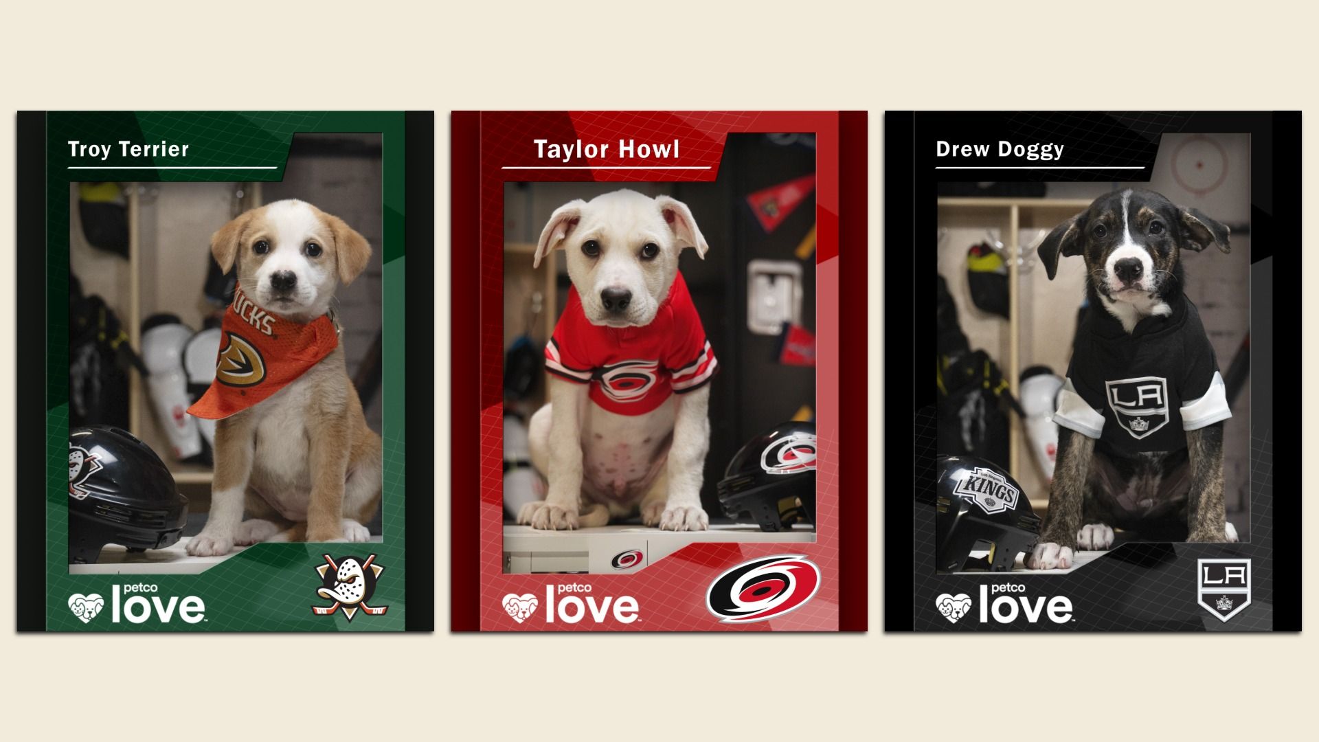 Dozens of cute puppies to face off in the NHL's "Stanley Pup"