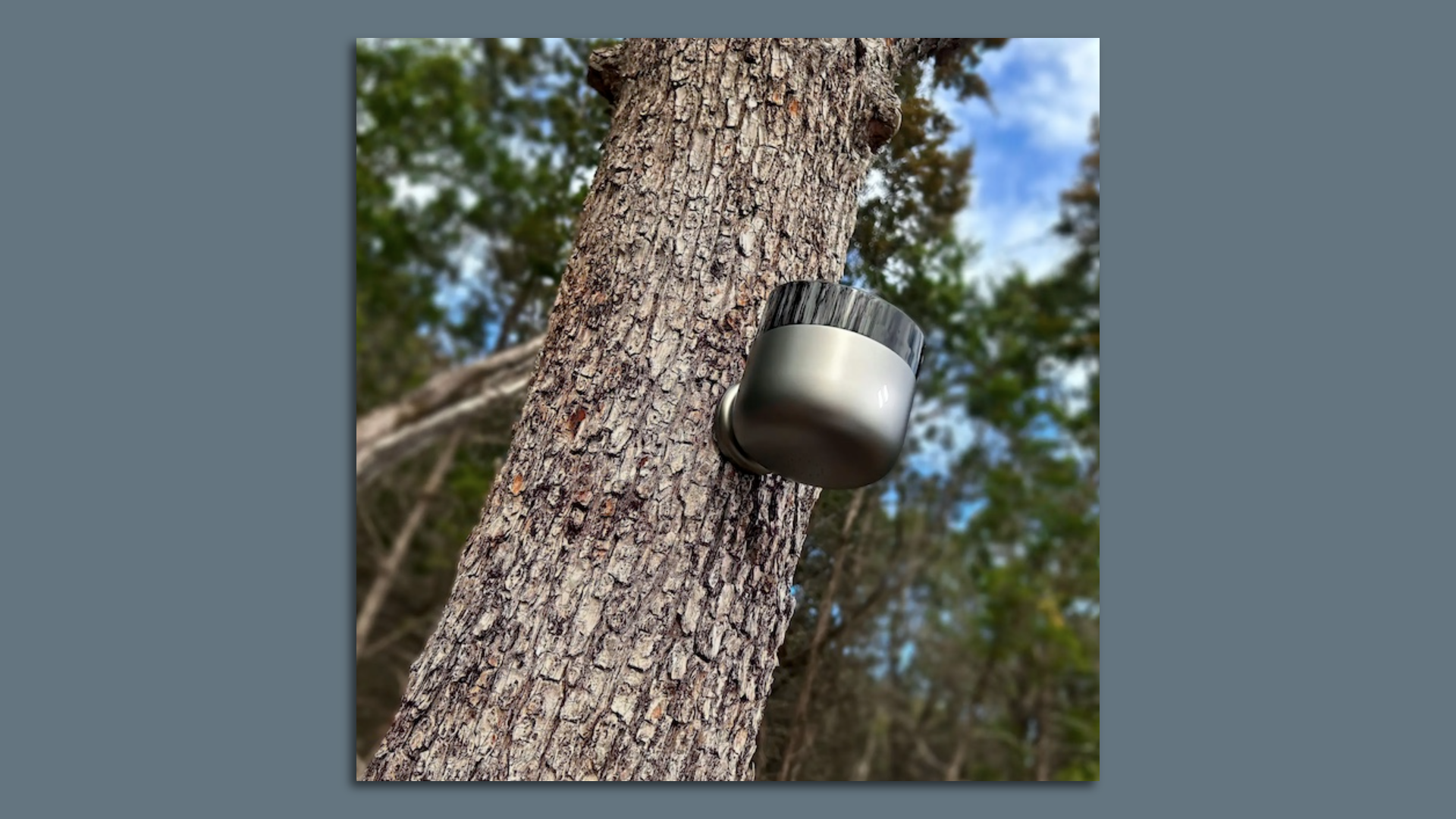 Torch Sensors raising up to $10M for wildfire detection devices