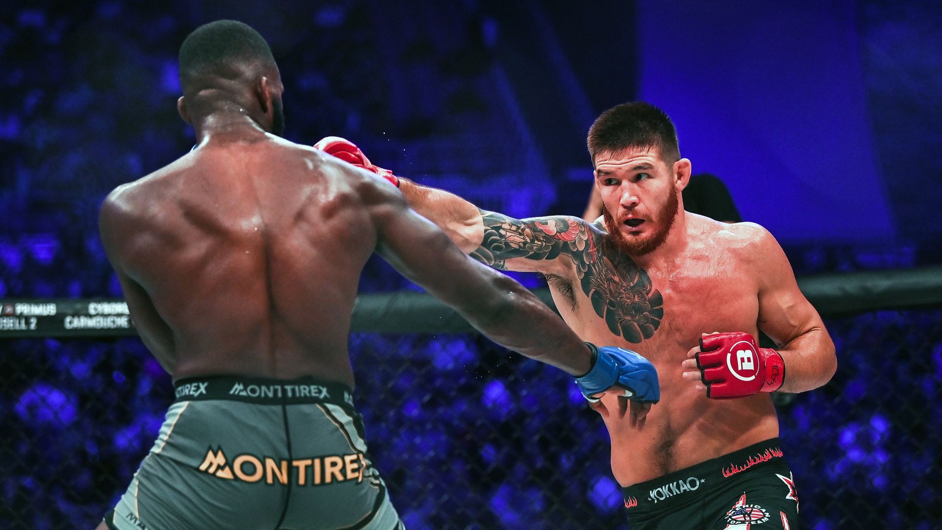 Bellator sale likely after Showtime shuts down sports division