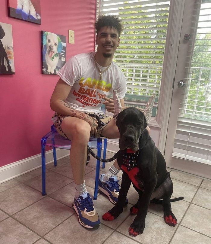 LaMelo Ball spoils his dog at Whitney’s Wittle Wonders in University ...