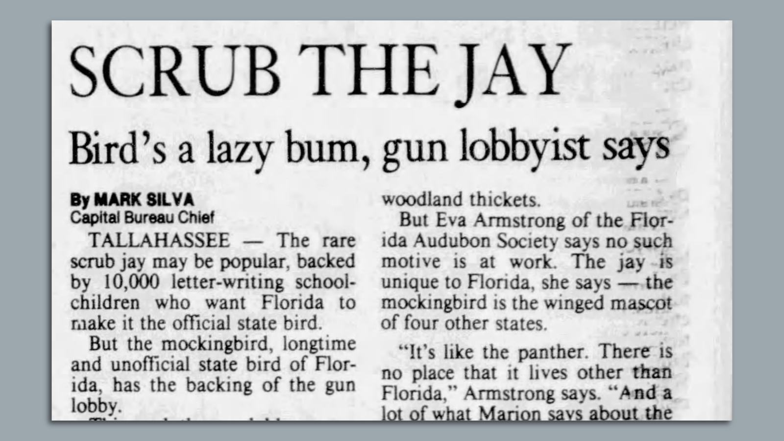 Retired NRA lobbyist Marion Hammer defends mockingbird as Florida state ... Retired NRA lobbyist Marion Hammer defends mockingbird as Florida state ...