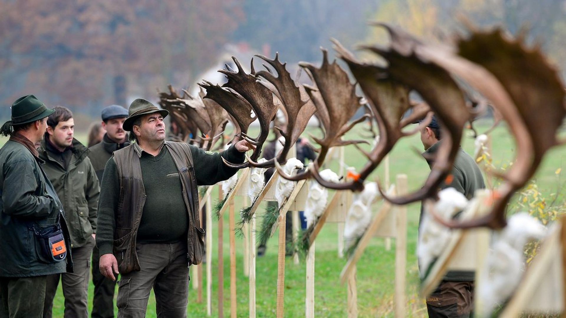 Trophy hunting hurts a species' chances of survival