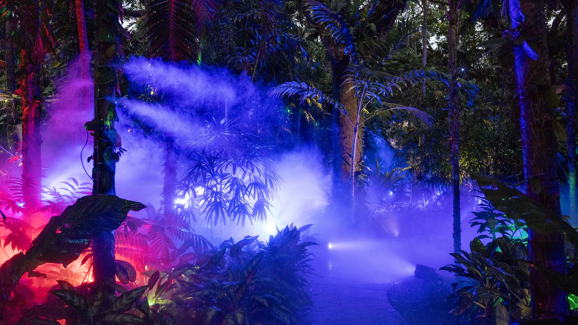 What to do this weekend in Miami: Beaver Moon, NightGarden and a Greek ...