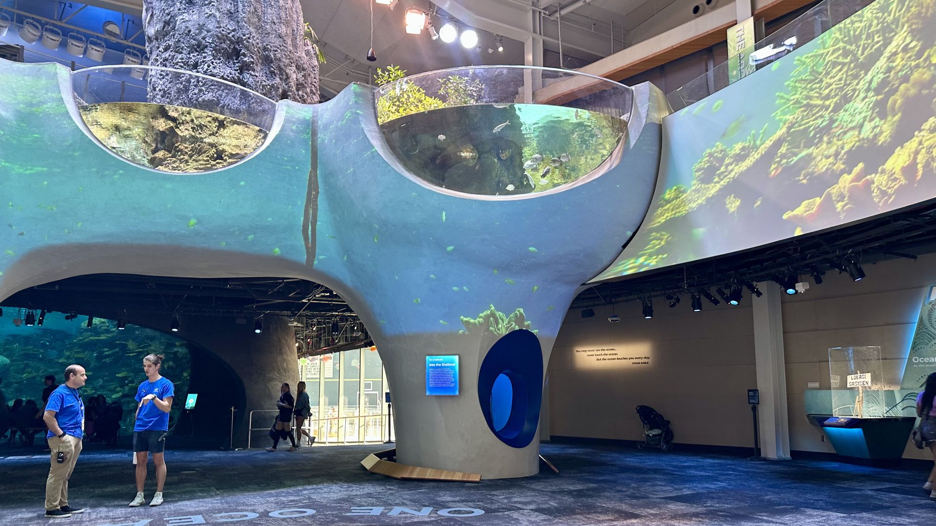 See inside Seattle Aquarium's Ocean Pavilion that just opened - Axios ...
