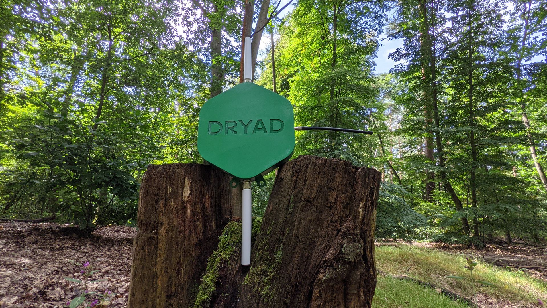 Dryad raises €5.6M for early wildfire detection
