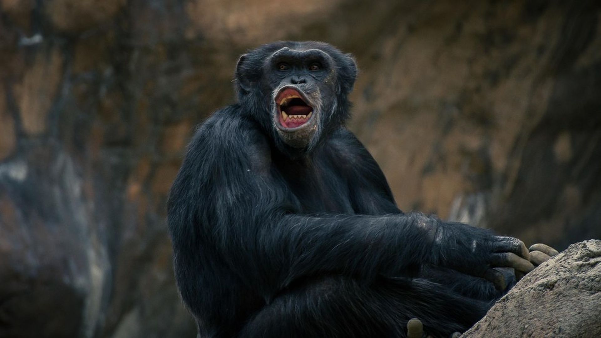 Weakness: it's what makes us human