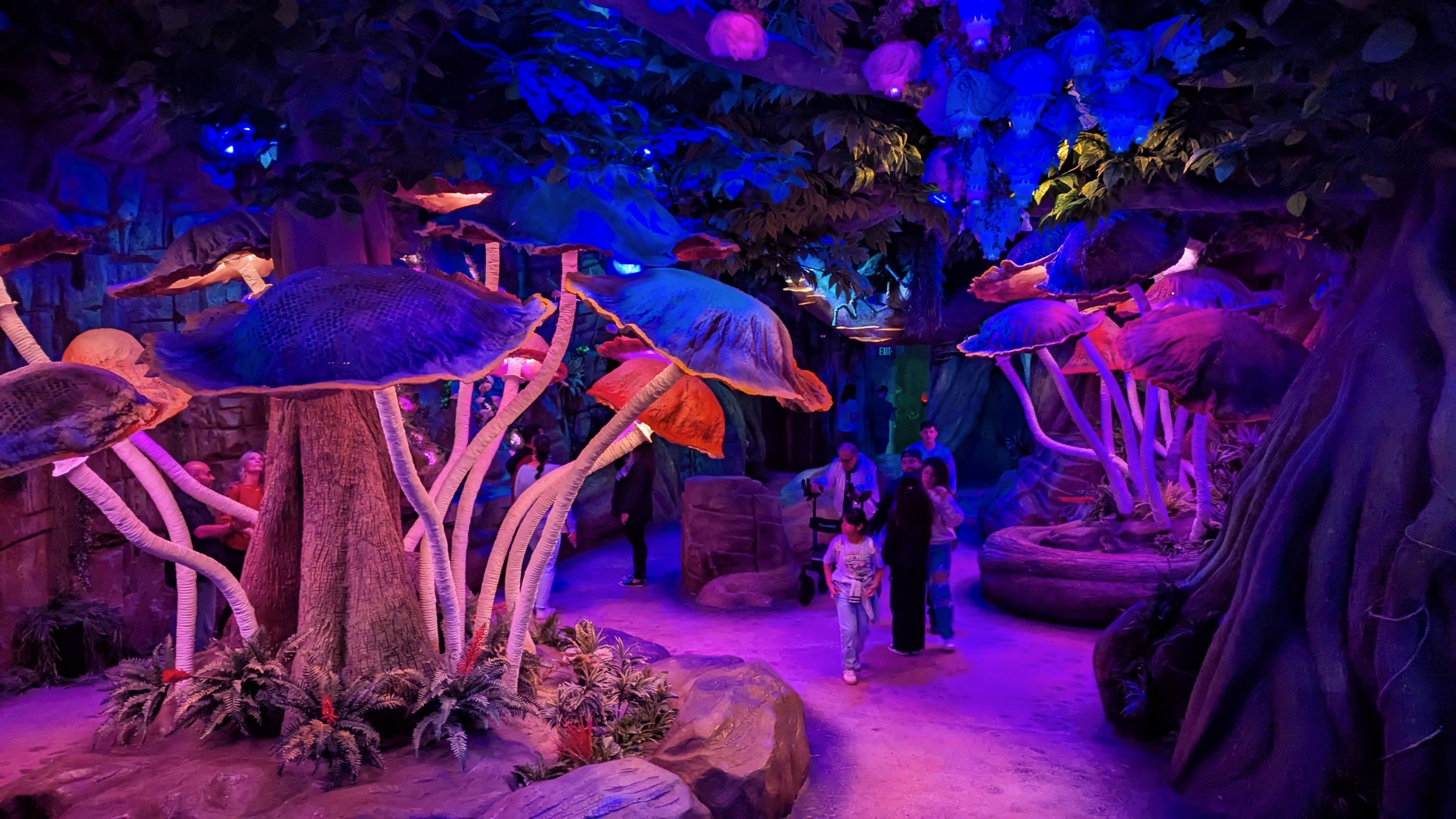 What to expect at Utah's Dreamwalk Park in Orem - Axios Salt Lake City