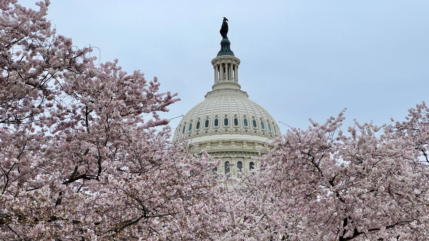 Warm weather means fake spring has arrived in D.C. - Axios Washington D.C.
