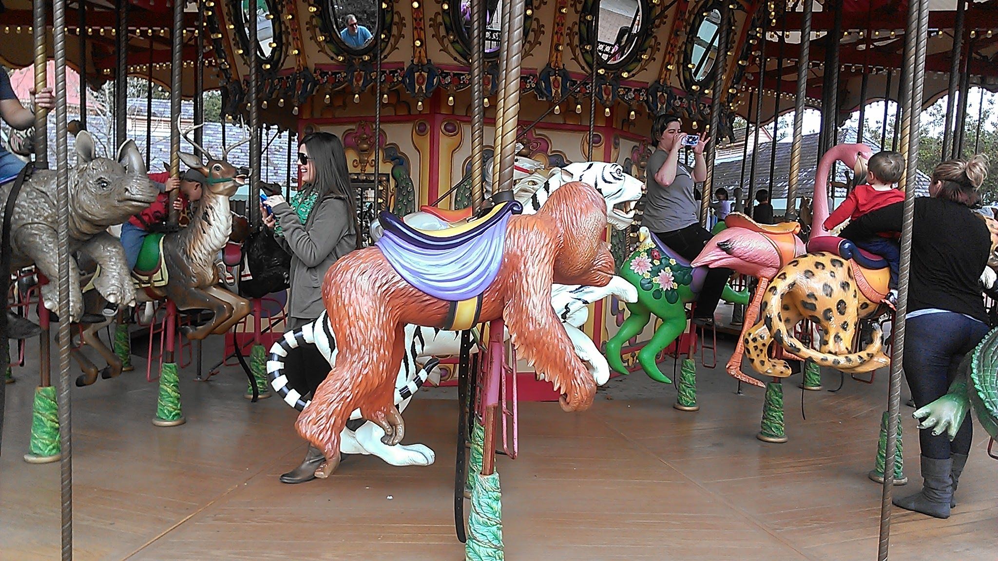 Audubon Zoo in New Orleans is selling its carousel - Axios New Orleans