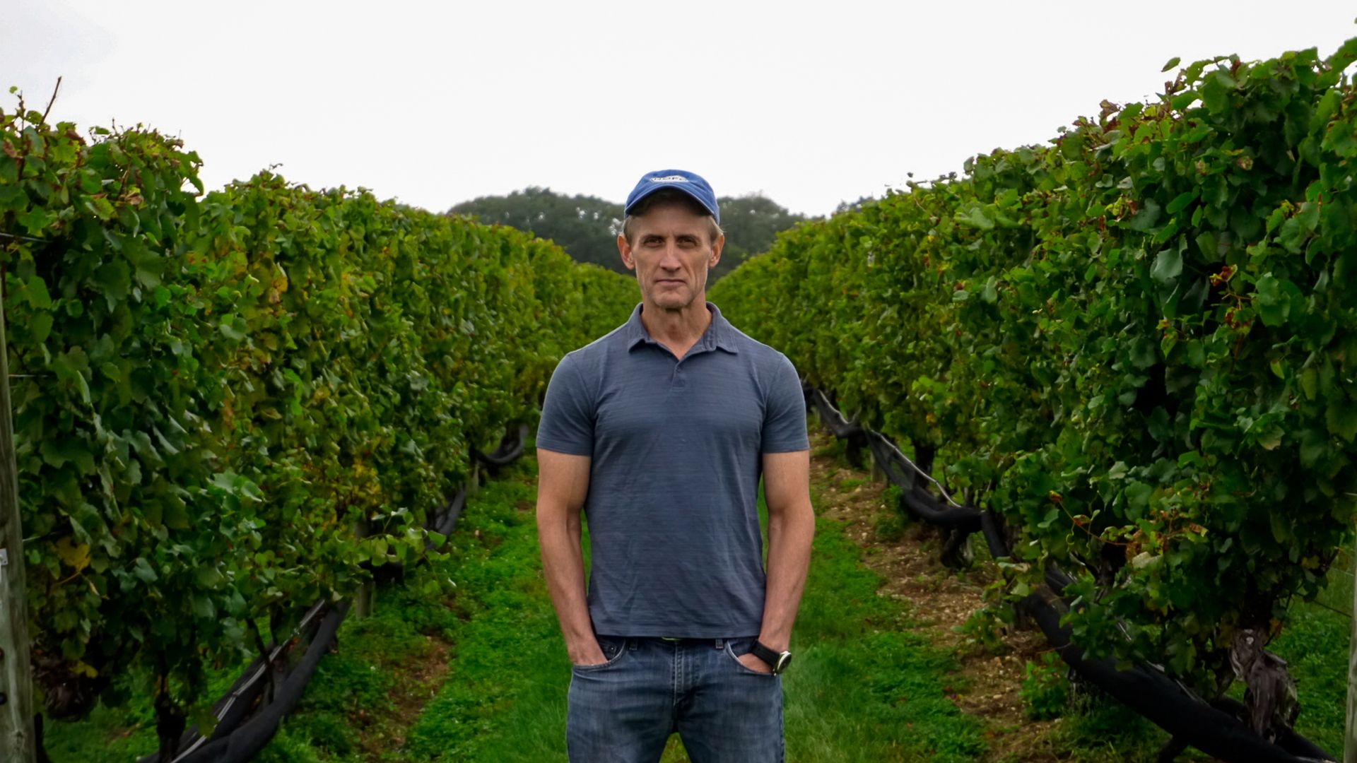 Dan Abrams raising money for new media startup