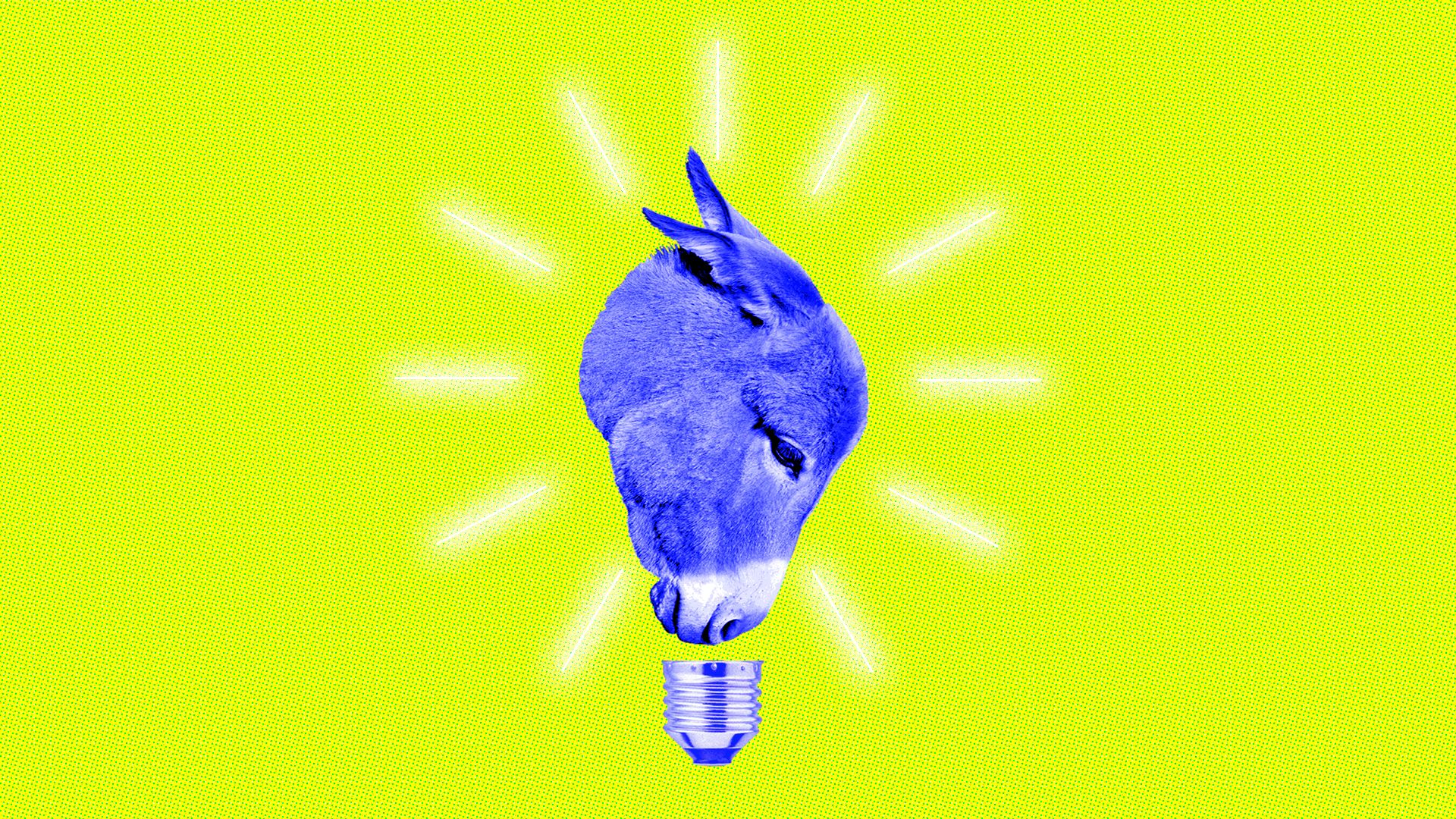 Democrats look left for 2020 presidential election platforms
