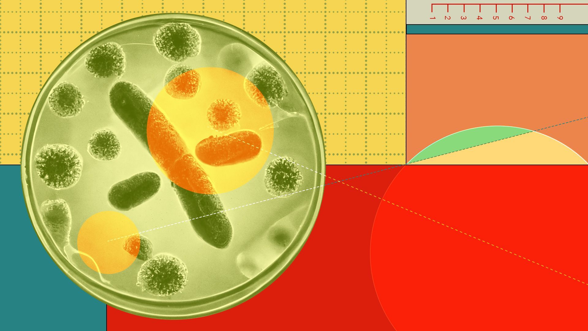Scientists call for halt on creation of "mirror life"