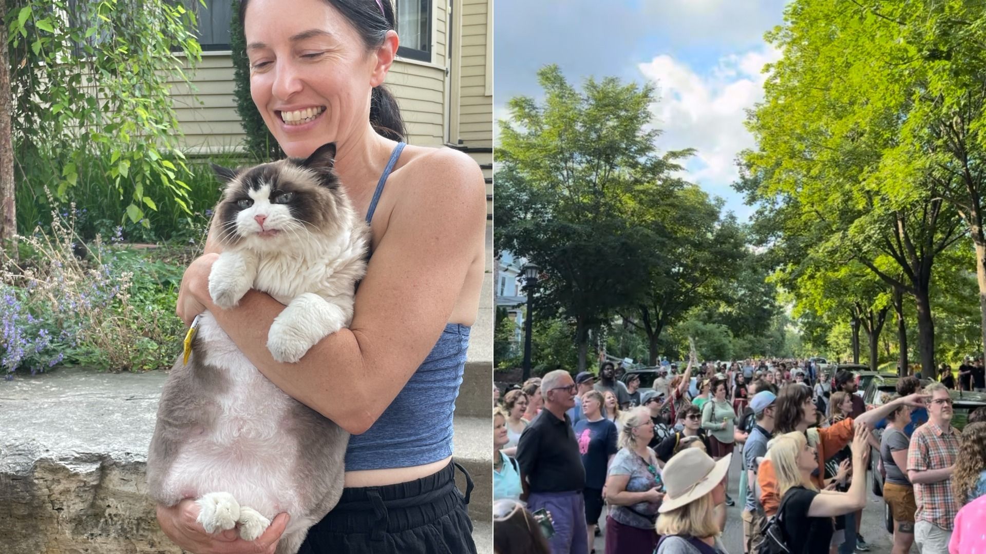 Cat tour returns to Minneapolis' Wedge neighborhood - Axios Twin Cities