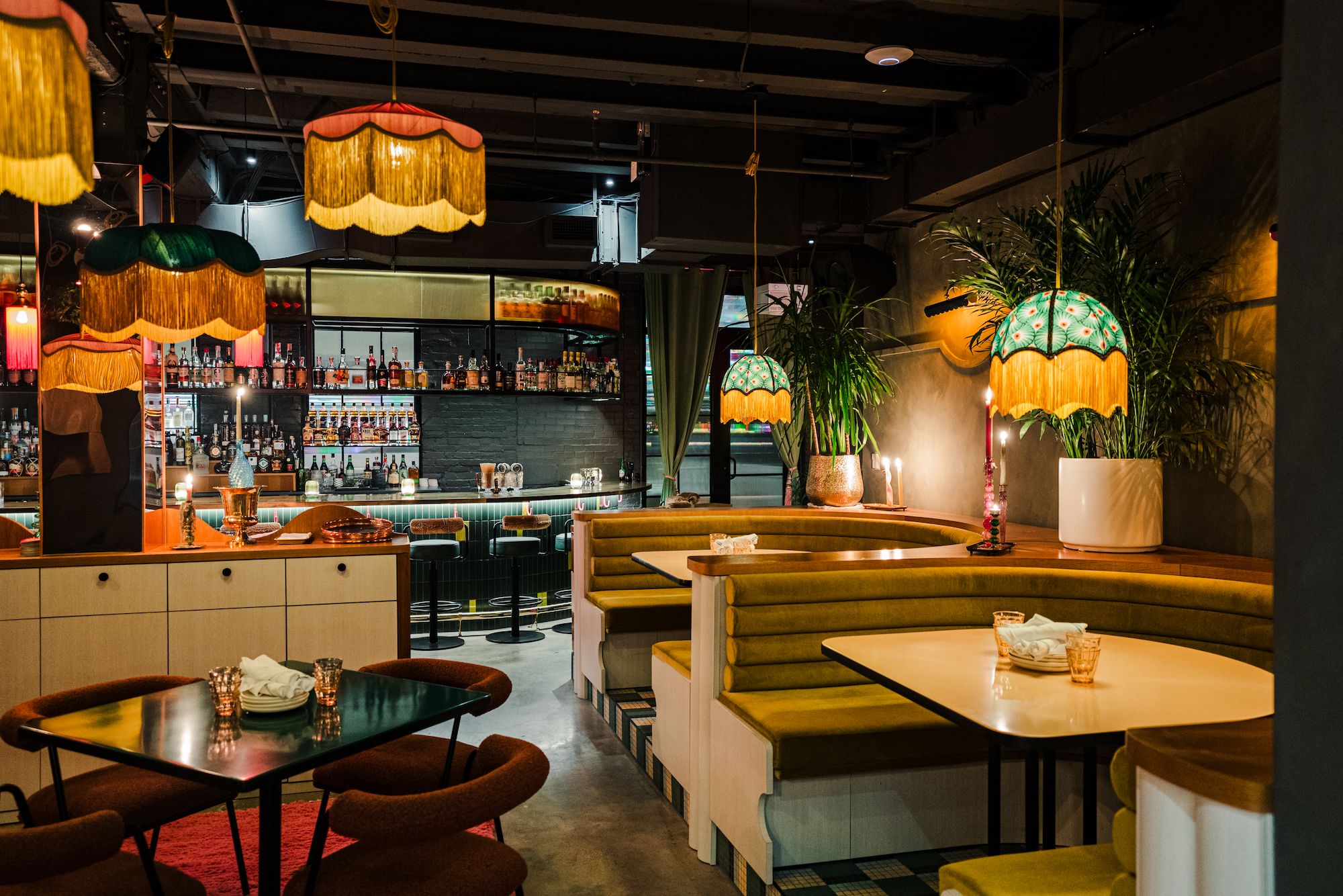 Albi chef Michael Rafidi opens bistro, cocktail bar La' Shukran in DC ...