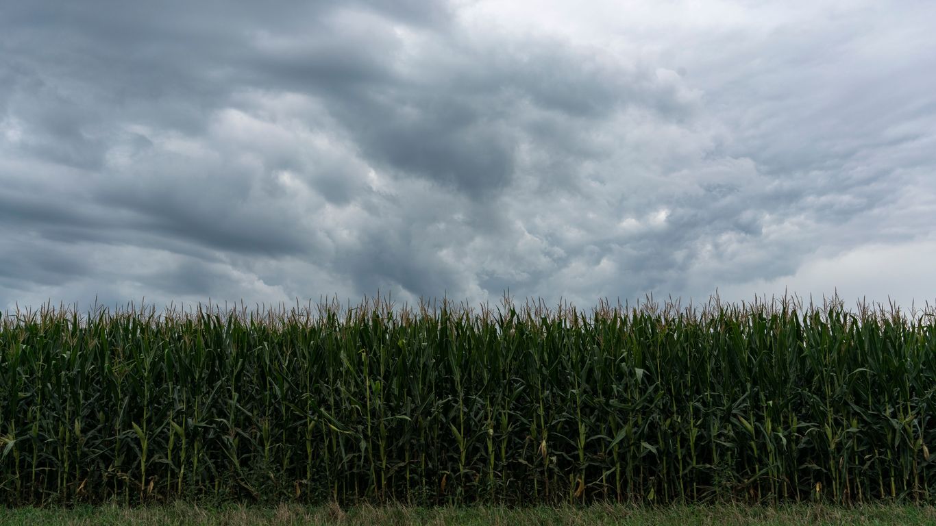 Trump administration unveils new plan to boost corn-based ethanol Trump administration unveils new plan to boost corn-based ethanol