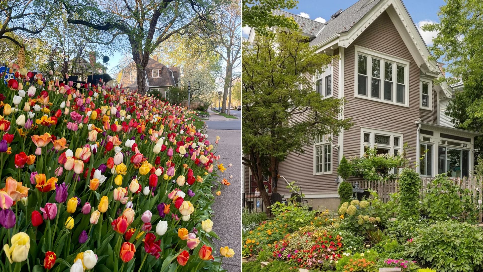 Springtime destination "Minneapolis Tulip House" lists for $650,000 - Axios Twin Cities