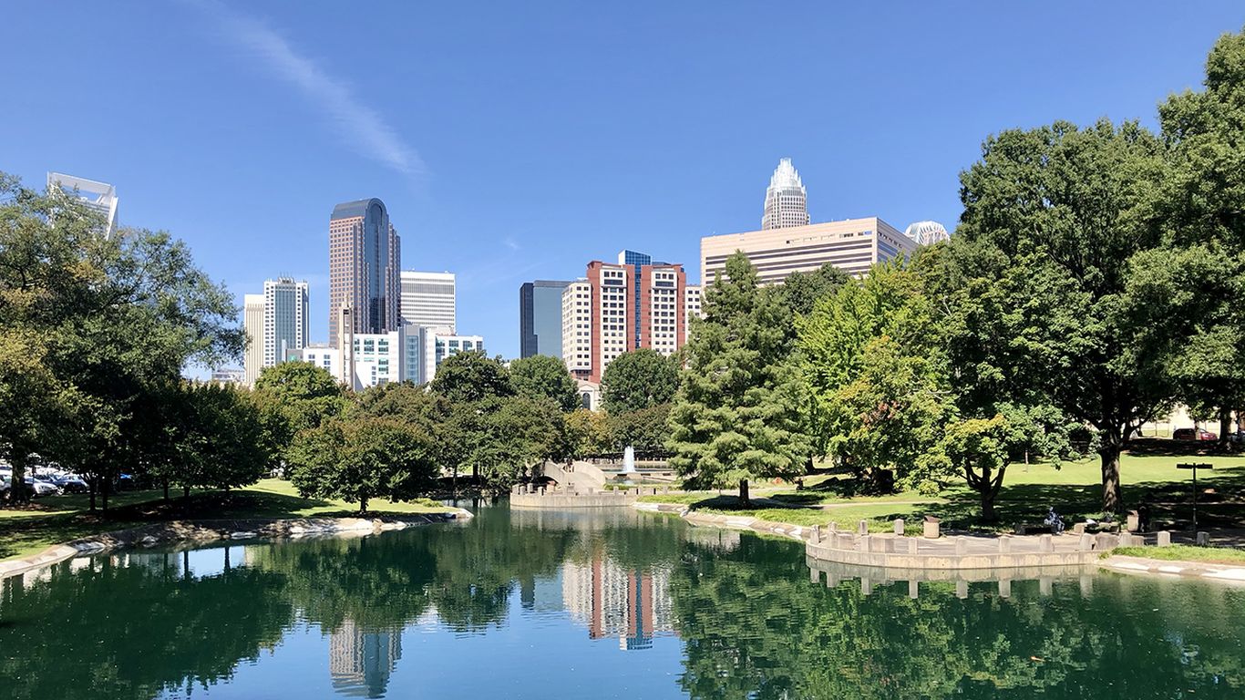 Cash Confessional: How a millennial dog groomer grew from a PetSmart ...