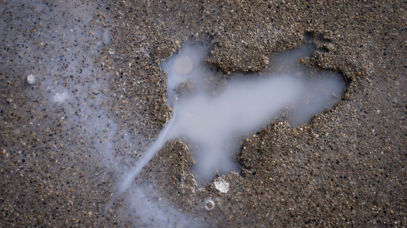 Chicago's "Rat Hole" joins the viral Hall of Fame - Axios Chicago