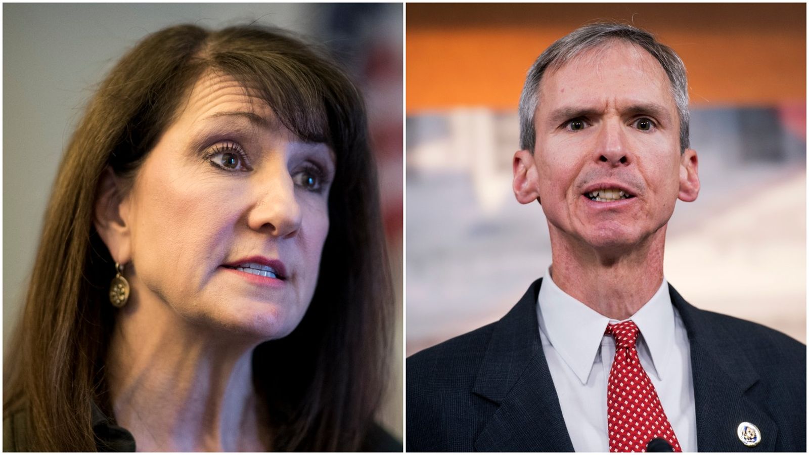 Marie Newman beats Rep. Dan Lipinski in Illinois primary