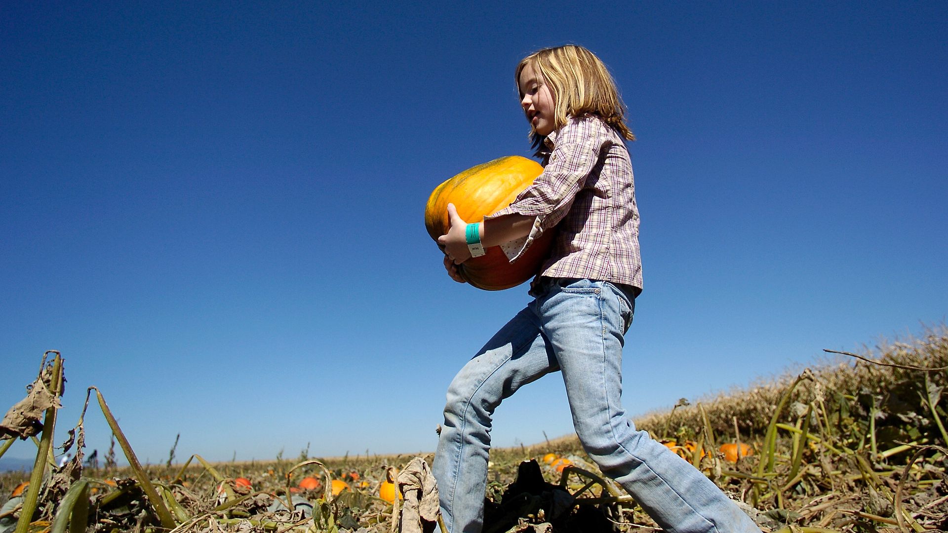 8 fun fall activities in Colorado - Axios Denver