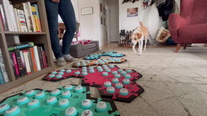 This viral Des Moines dog can "speak" using buttons - Axios Des Moines