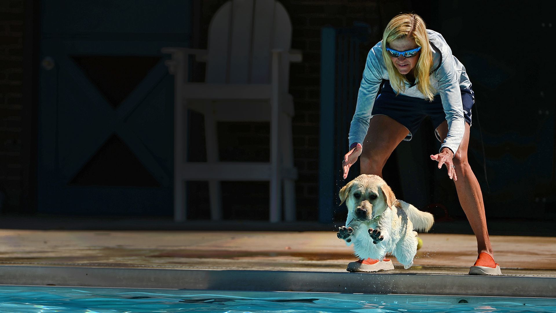 Boulder cancels Dog Dayz event to make more pool time for swimmers ...