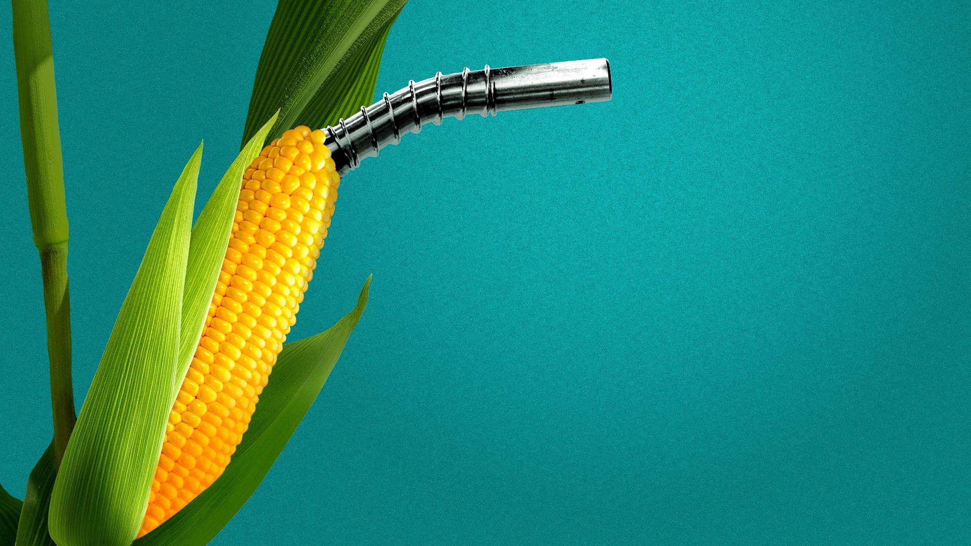 Gevo raising $800M for South Dakota biofuels SPV