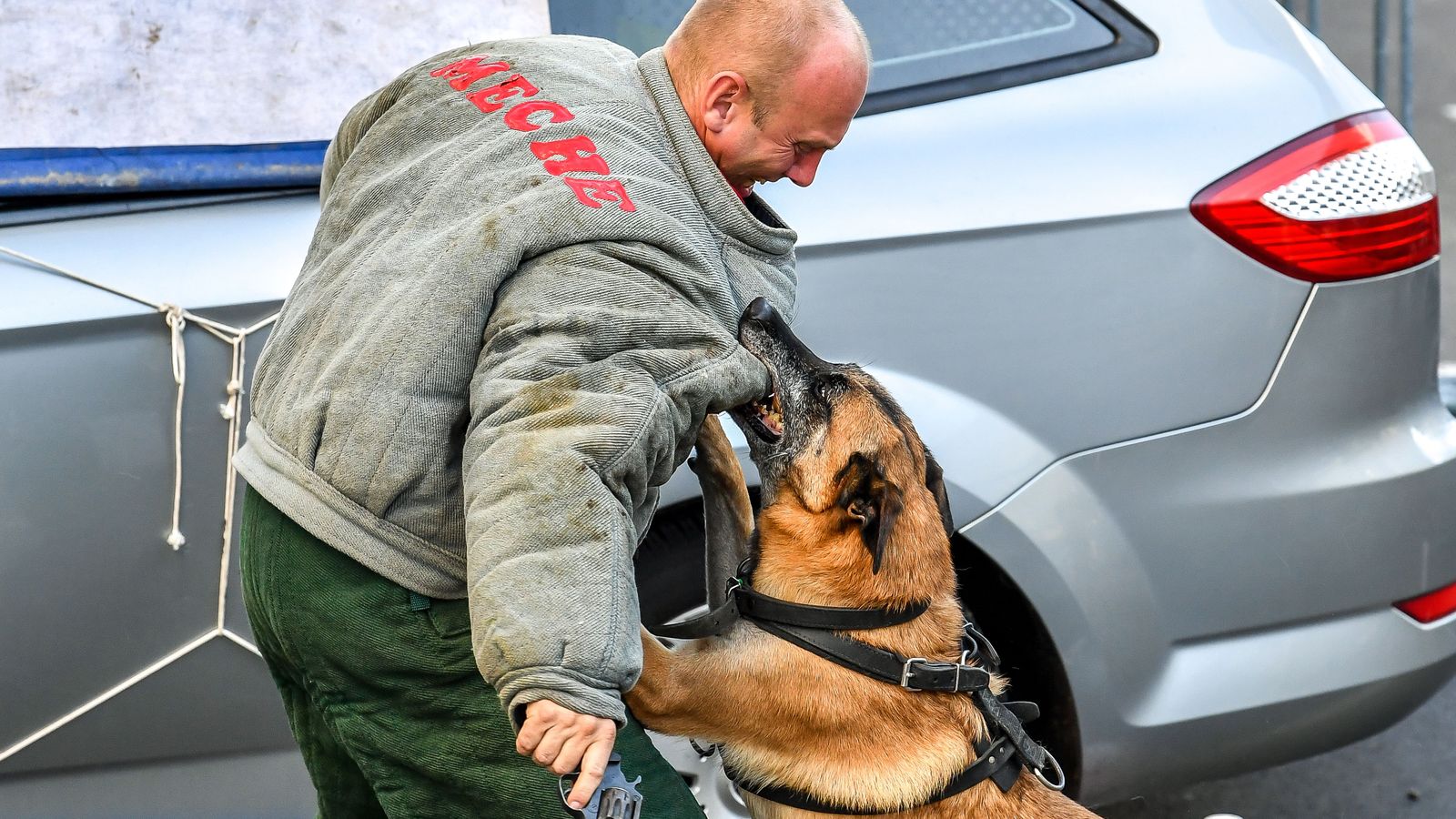 Police turn to "explosive odor-pursuit dogs” to stop suicide bomber